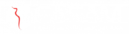 FASAM - Faculdade Sul-Americana